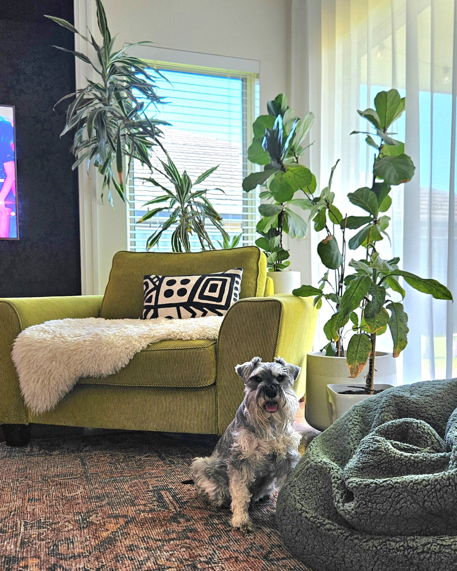 10 random interior design and decorating tips – mismatchedhome.blog