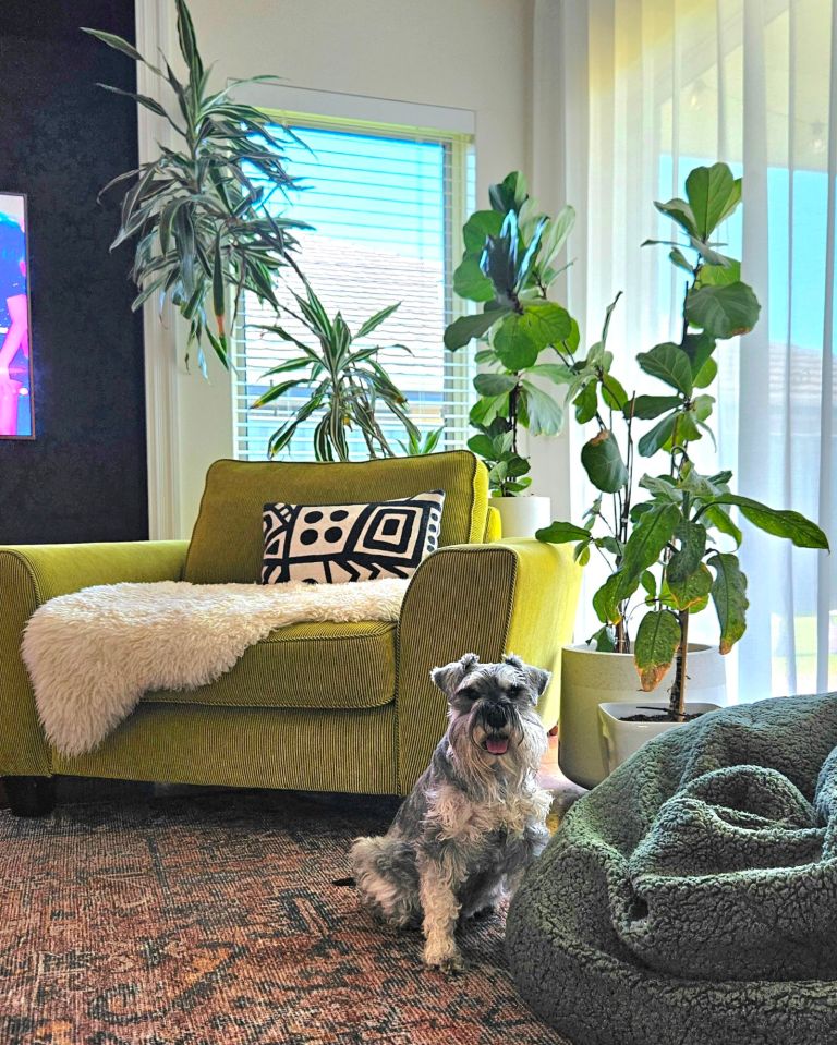 10 random interior design and decorating tips – mismatchedhome.blog